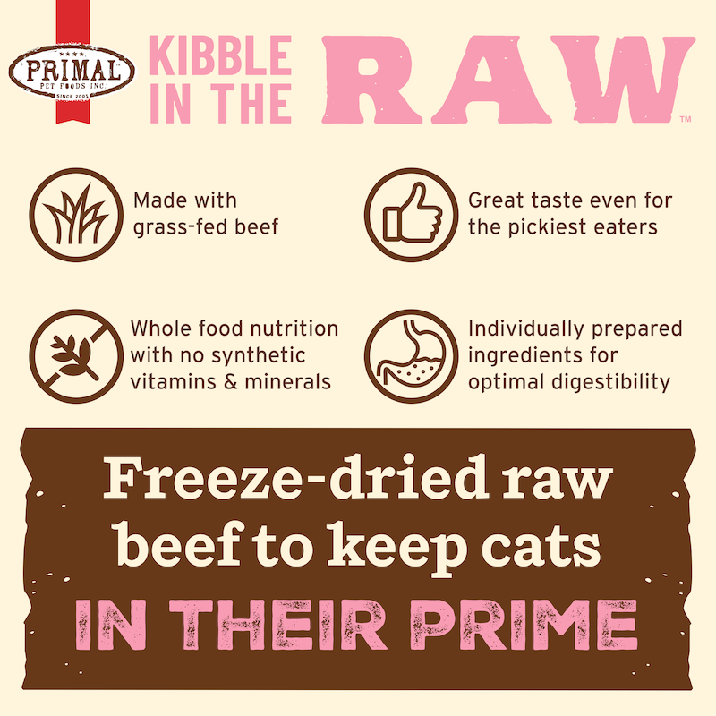 Kibble in the Raw Cat Food - Beef Recipe – Primal Pet Foods
