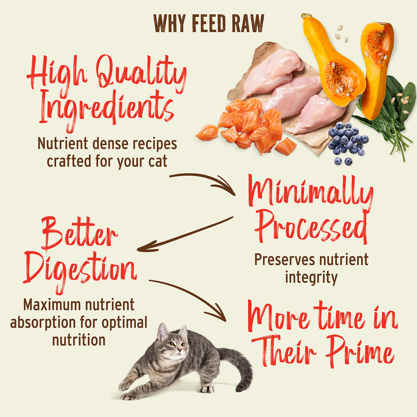 Freeze-Dried Raw Nuggets Cat Food – Primal Pet Foods